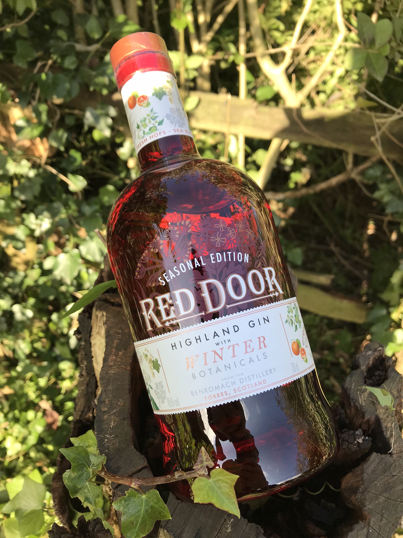 Red Door Gin with Winter Botanicals; Seasonal Edition – The Gin Shelf